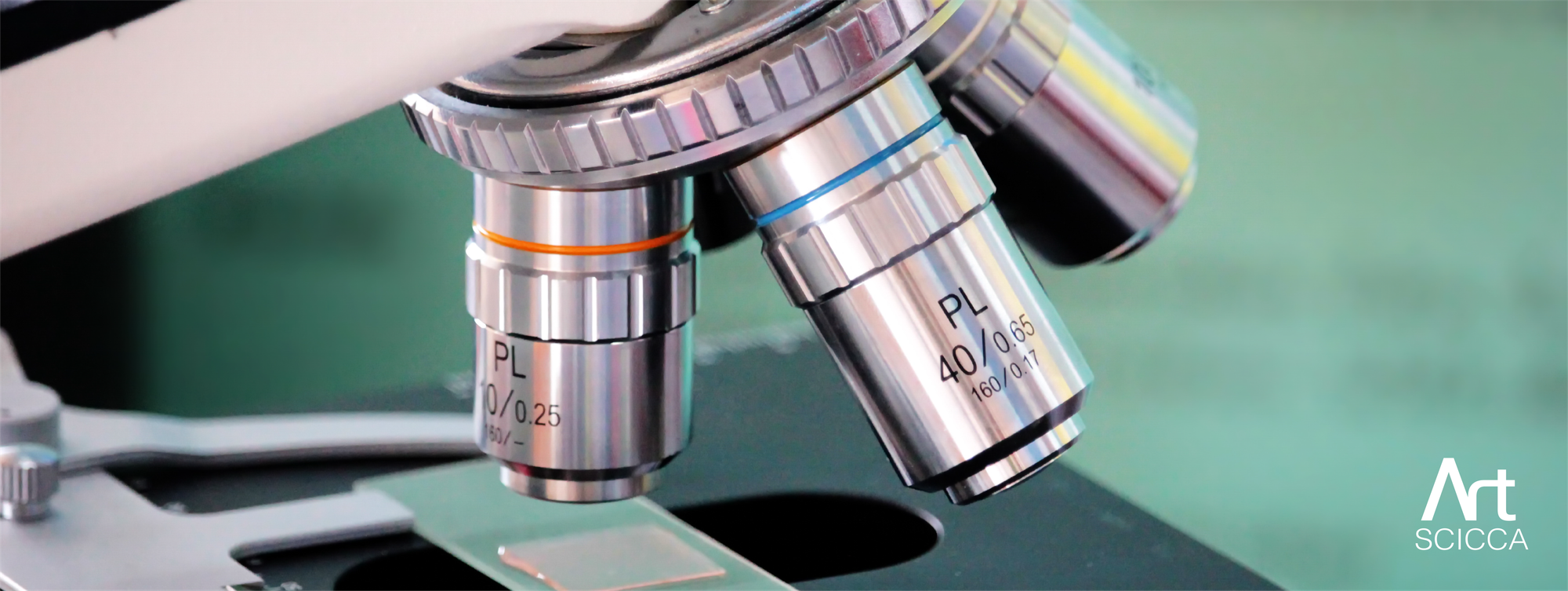Scientific Analysis Services